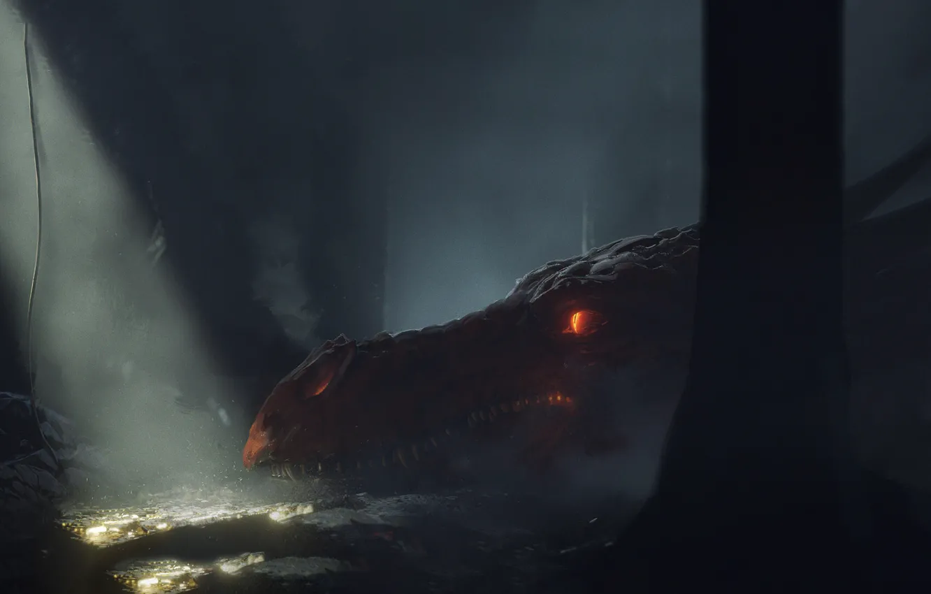 Wallpaper forest, night, fiction, dragon, teeth, head, fantasy, forest ...