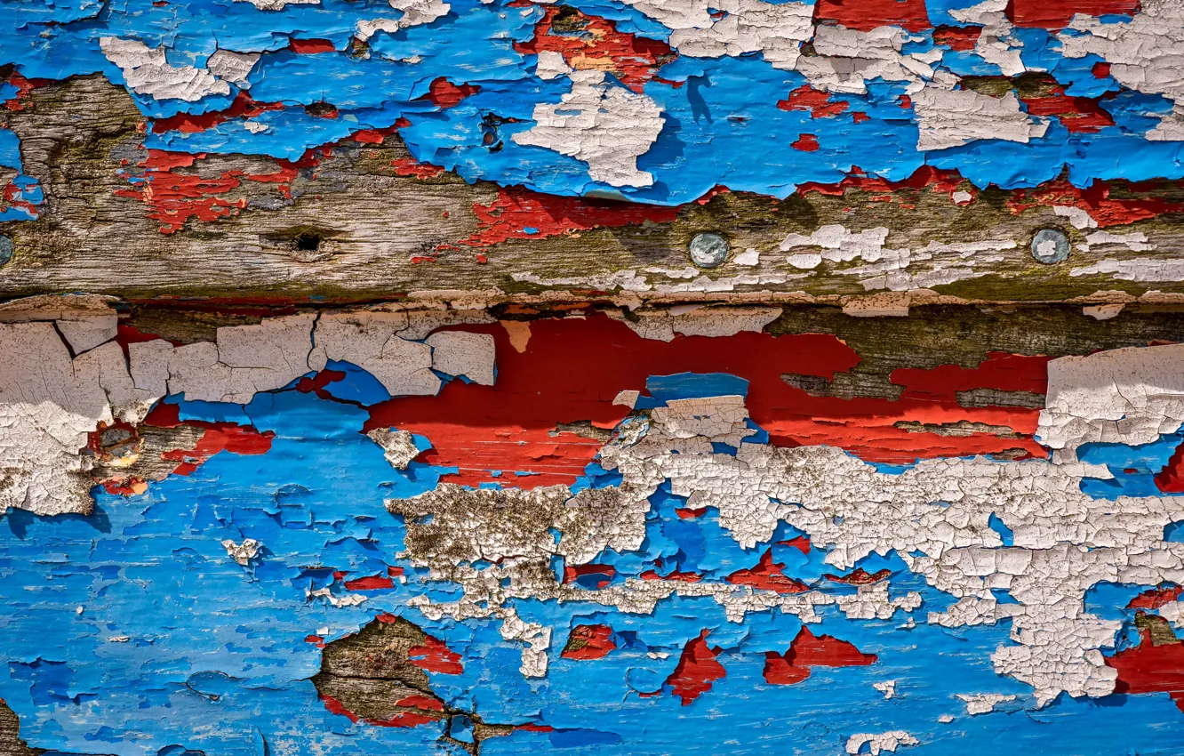 Wallpaper paint, Board, the fence for mobile and desktop, section ...