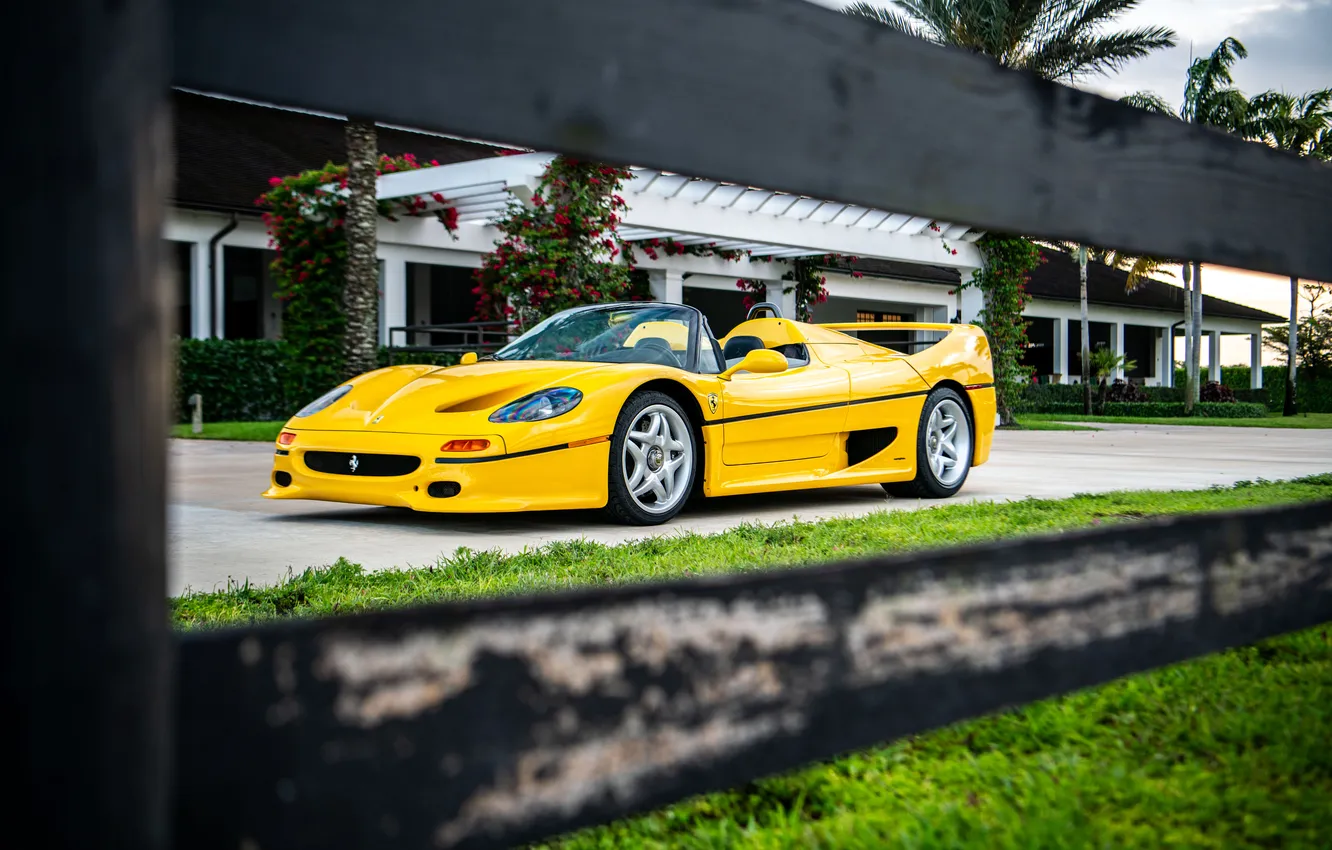 Wallpaper Ferrari, sports car, convertible, 1995, F50, Ferrari F50 for ...