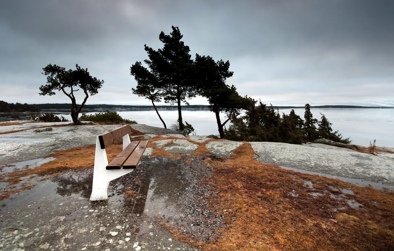 Wallpaper landscape, lake, spring, bench for mobile and desktop ...