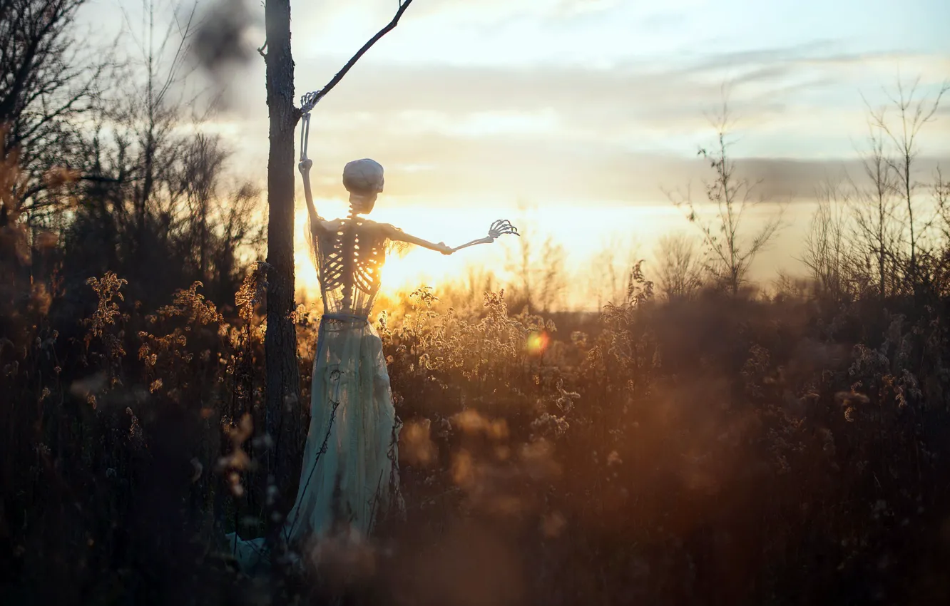 Wallpaper sunset, nature, skeleton for mobile and desktop, section ...