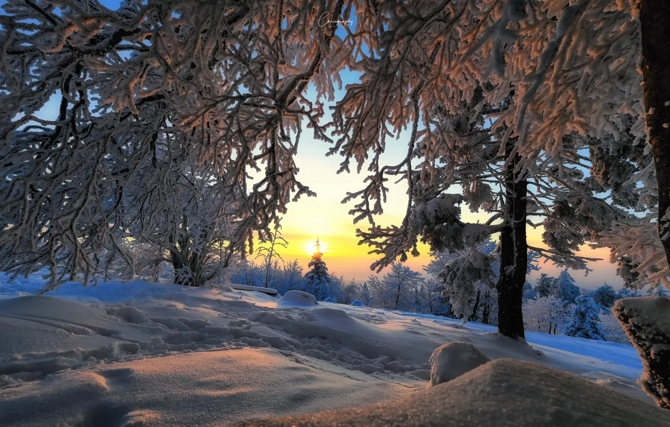 Wallpaper Winter, Sunset, Warm images for desktop, section природа ...