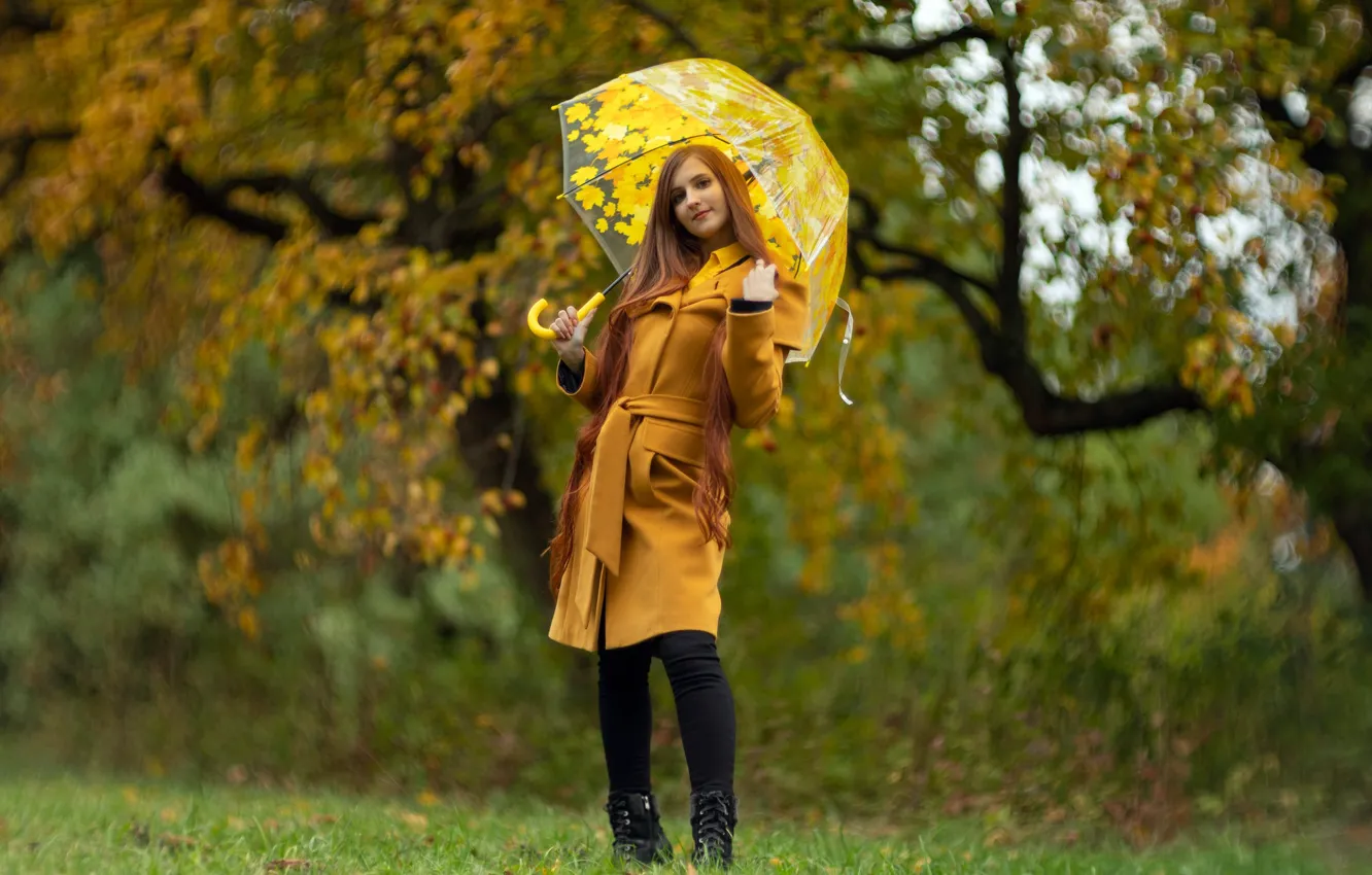 Wallpaper Autumn Forest Look Girl Trees Nature Pose Park For
