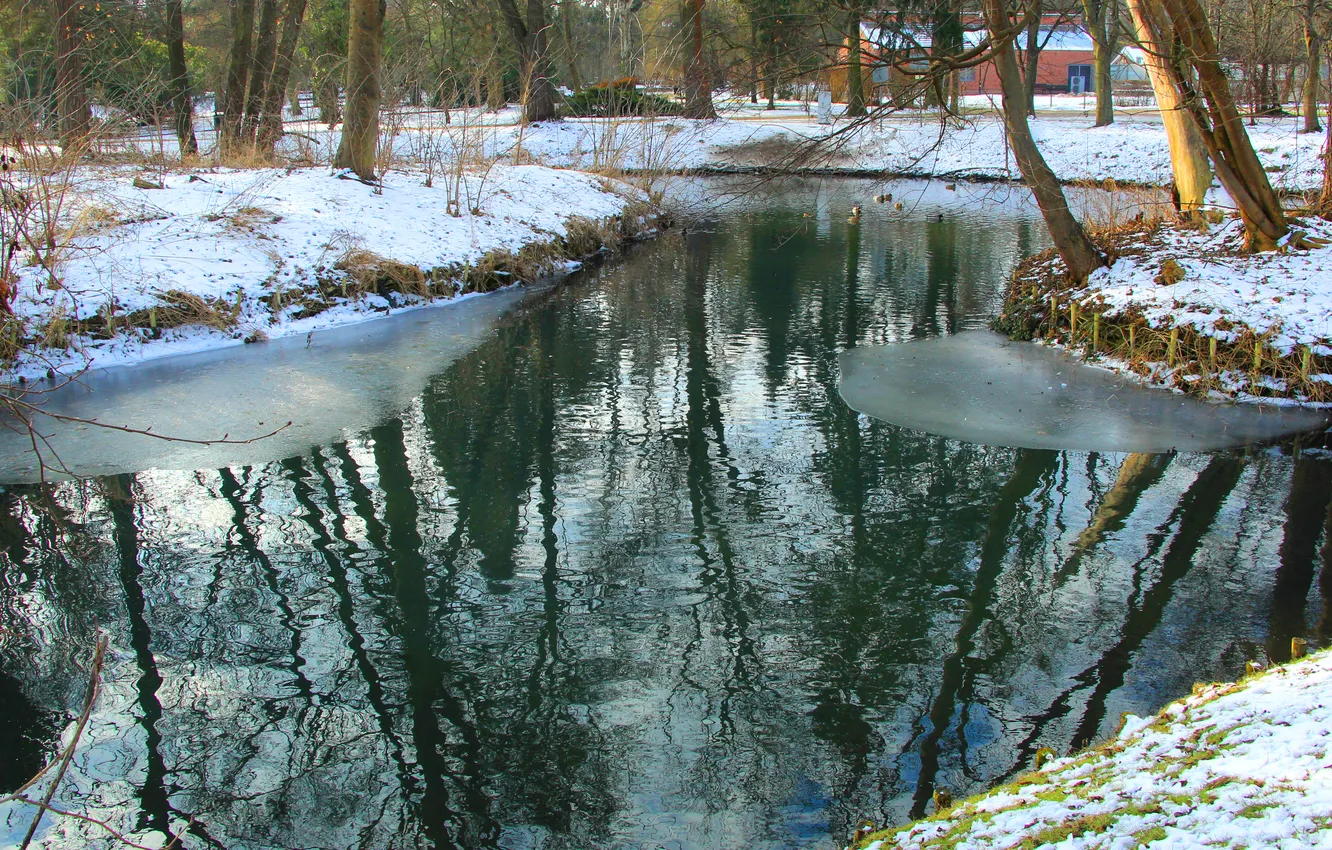 Wallpaper water, winter, lake, pond for mobile and desktop, section ...
