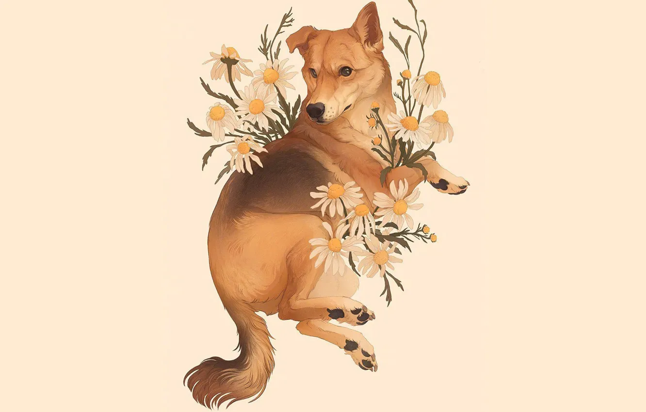Wallpaper Flowers, Dog, Figure, Chamomile, Animal for mobile and ...