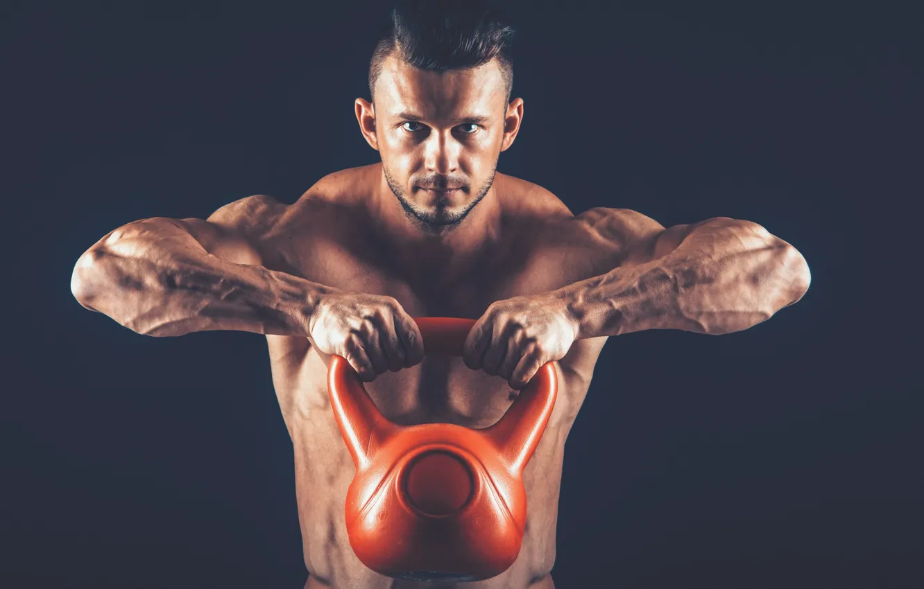 Wallpaper Muscle, muscle, weight, training, athlete, workout, workout ...