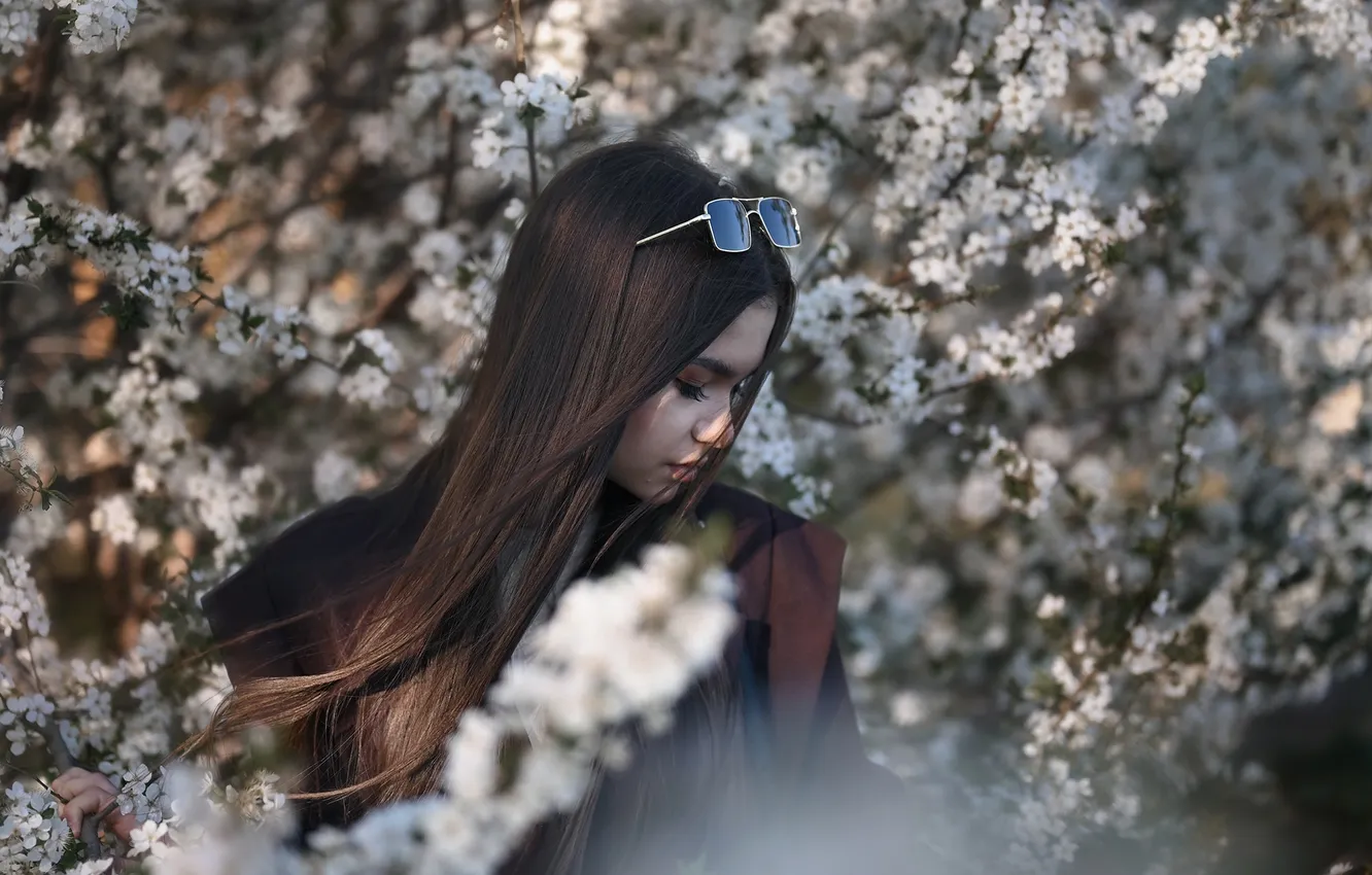 Wallpaper girl, branches, pose, spring, glasses, flowering, long hair ...