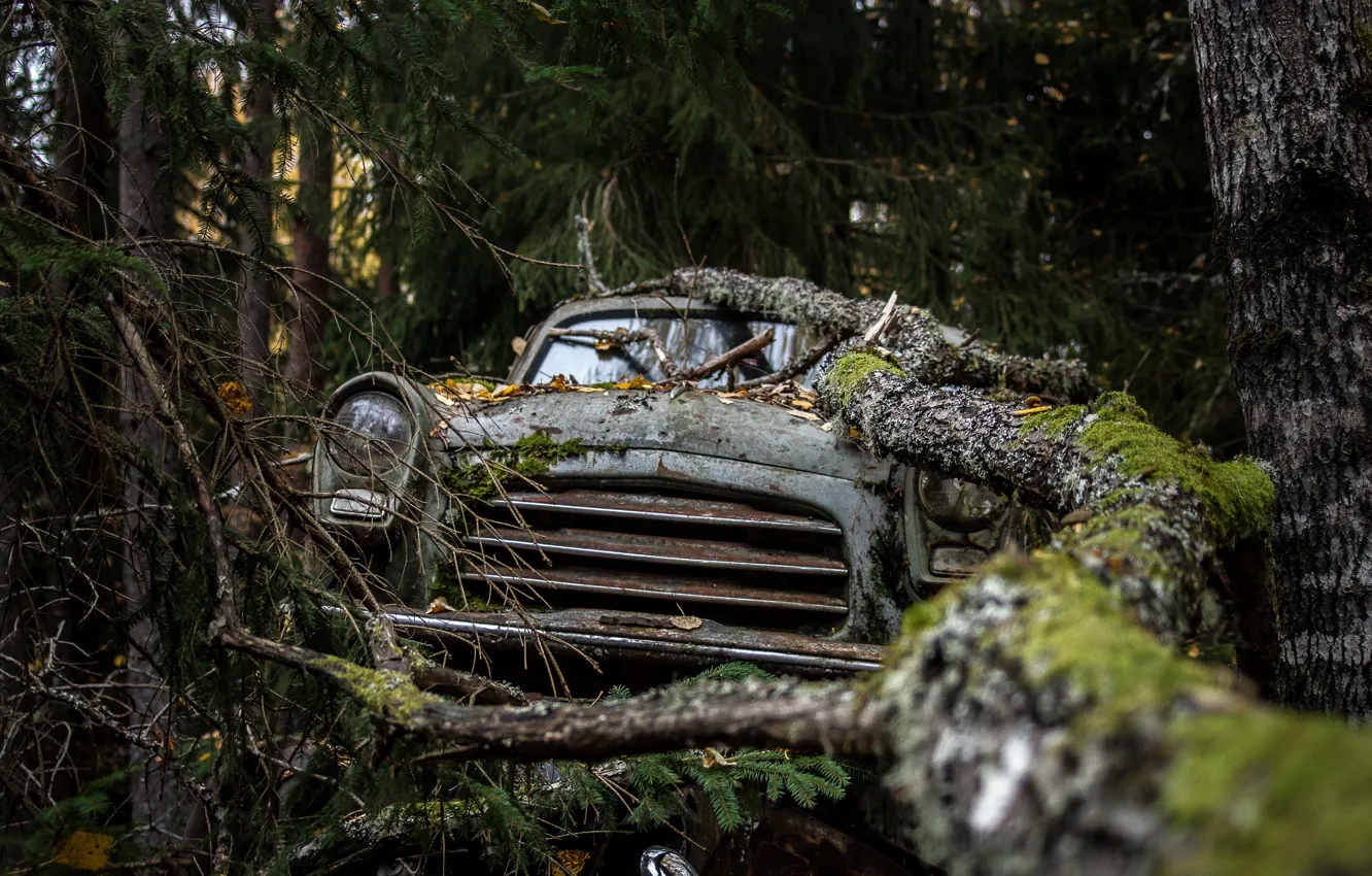 Wallpaper machine, forest, scrap images for desktop, section разное ...