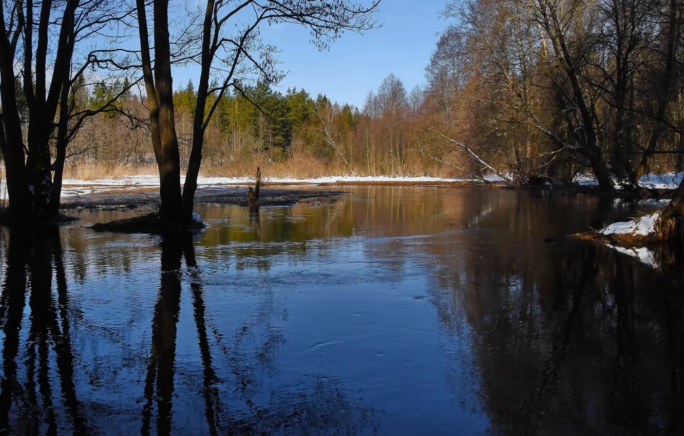 Wallpaper landscape, nature, river, spring, spill for mobile and ...