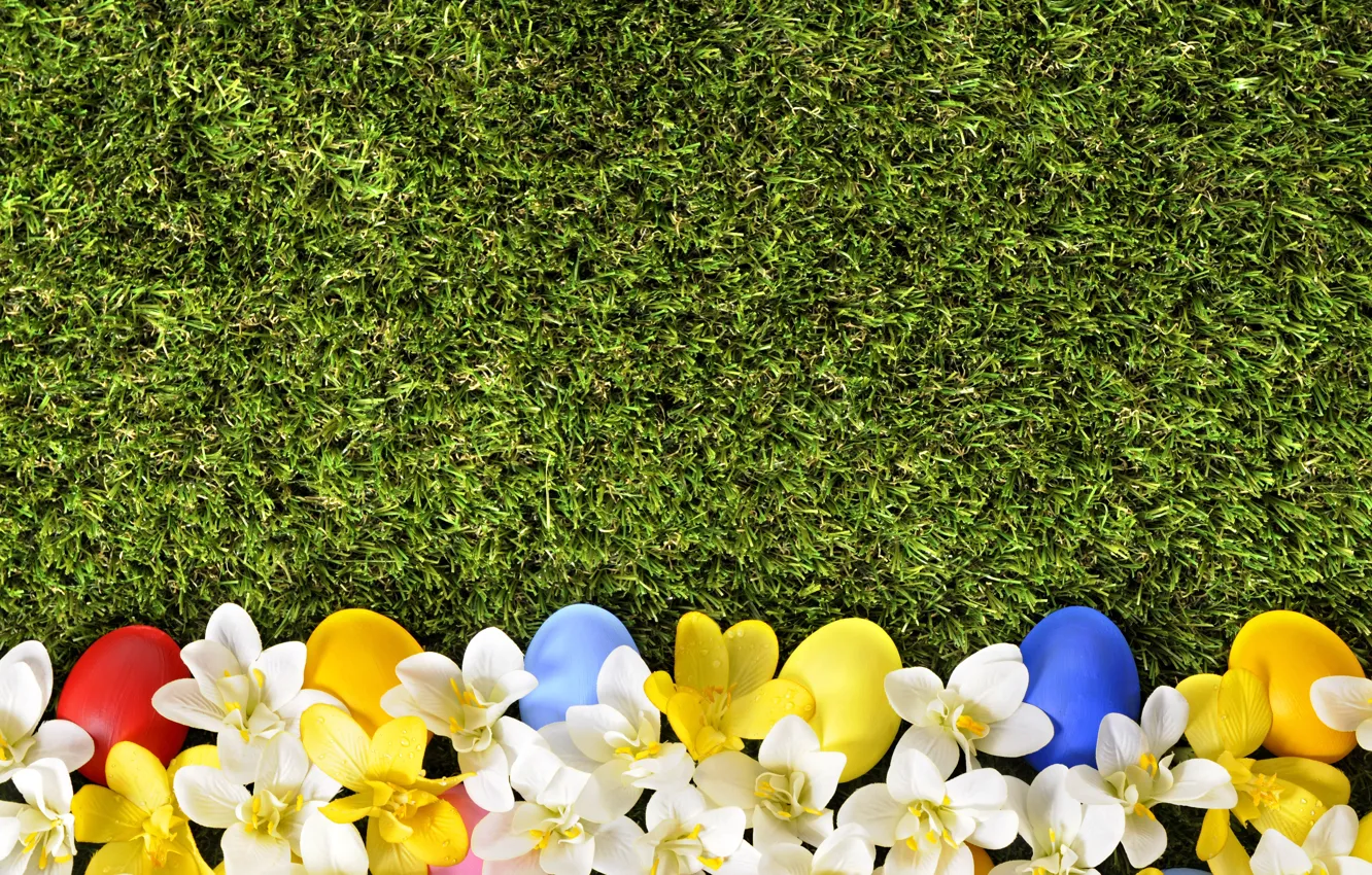 Wallpaper flowers, holiday, eggs, spring, Easter, grass, weed, flowers ...