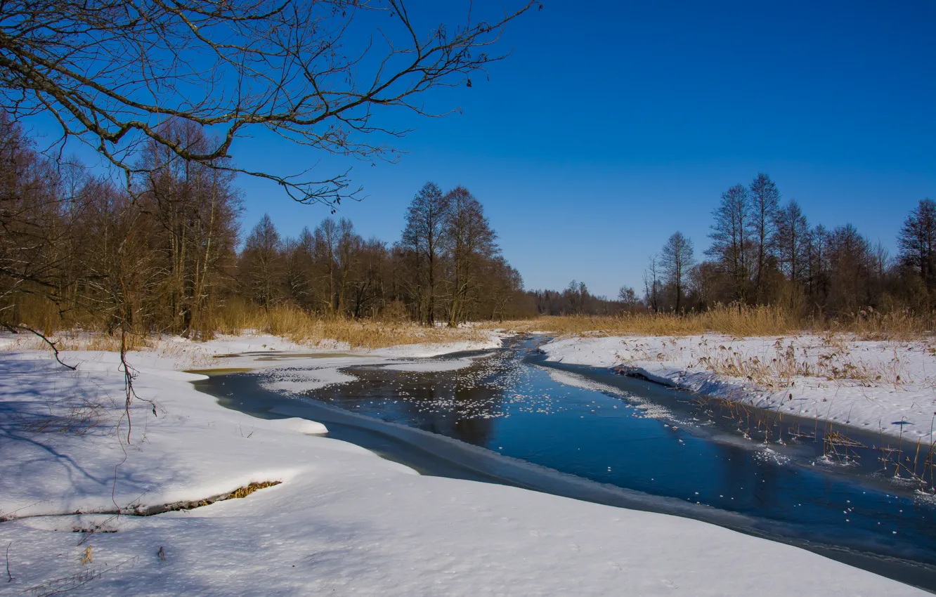 Wallpaper February, nature, the sky, river, forest for mobile and ...