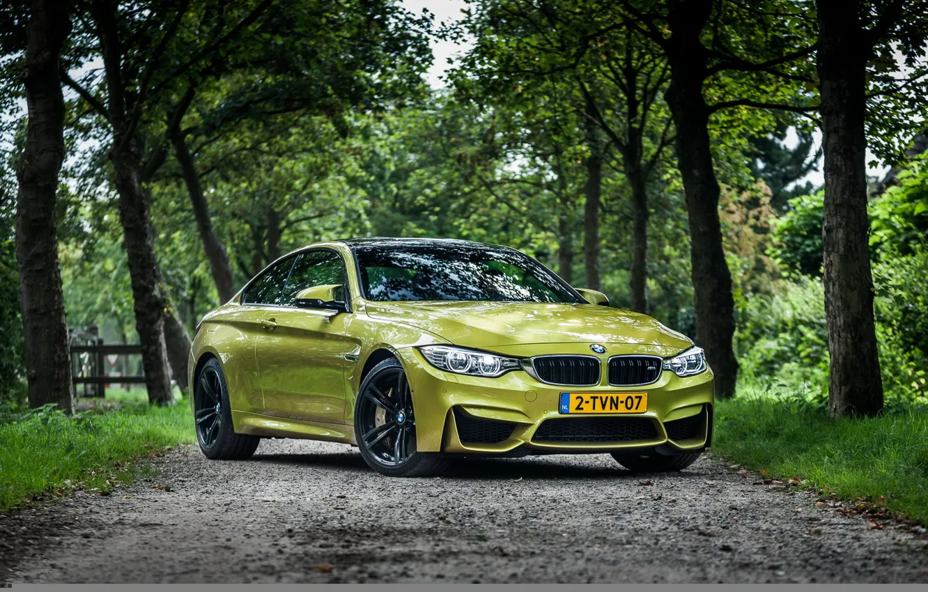 Wallpaper BMW, forest, road for mobile and desktop, section bmw ...
