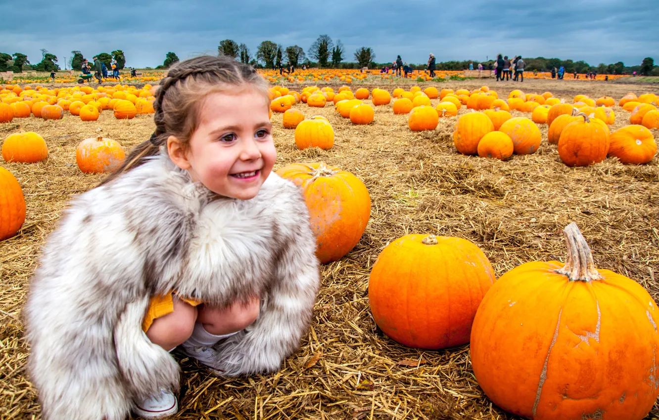 Wallpaper field, joy, smile, mood, harvest, girl, pumpkin, chubaka for ...