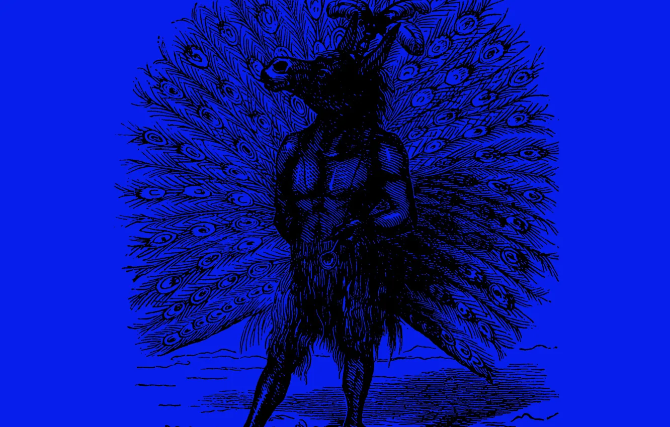 Wallpaper adrammelek, Aramaic, adramelek images for desktop, section ...