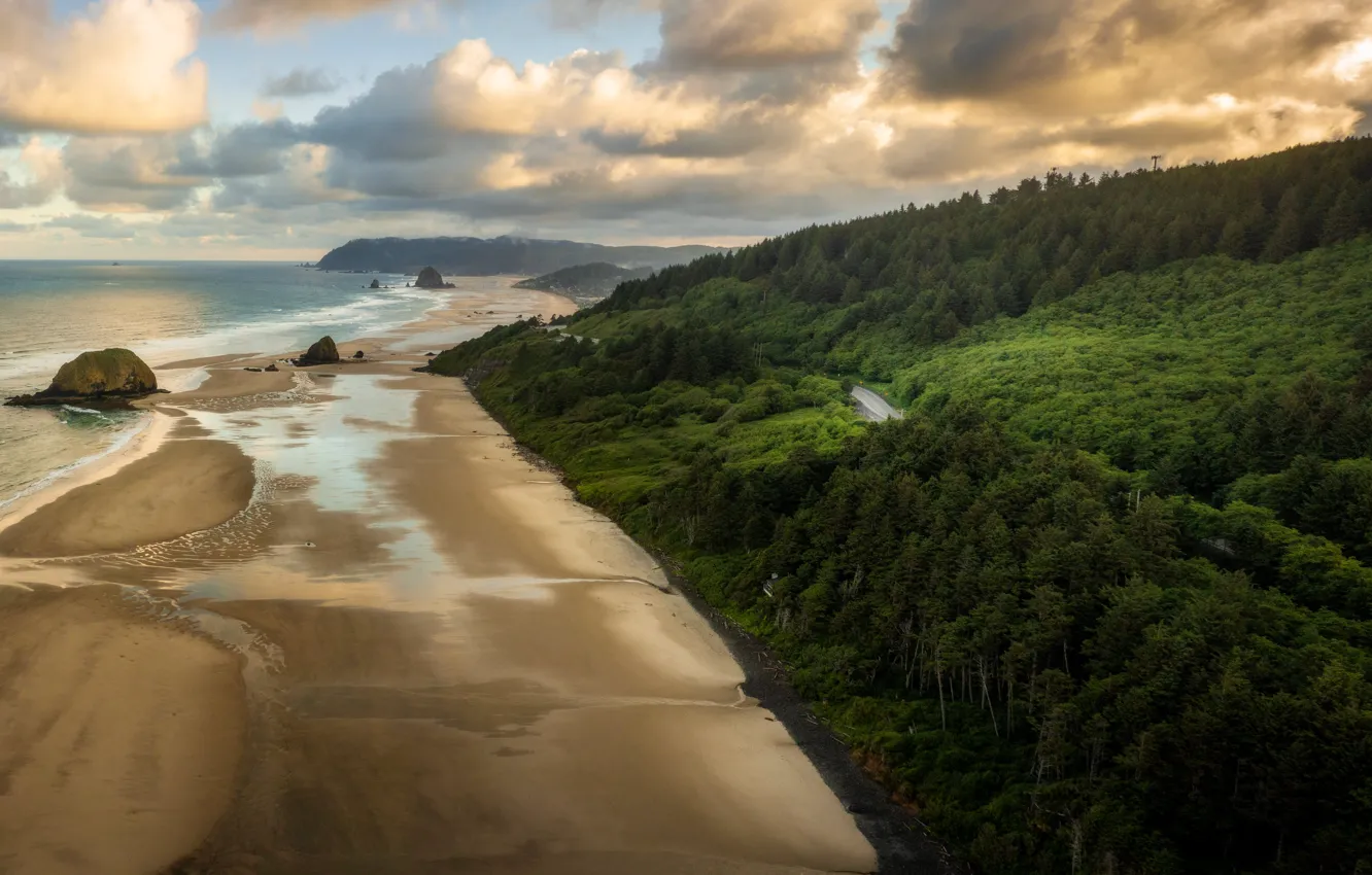 Wallpaper sand, sea, forest, beach, mountains, rocks, shore, slope for ...