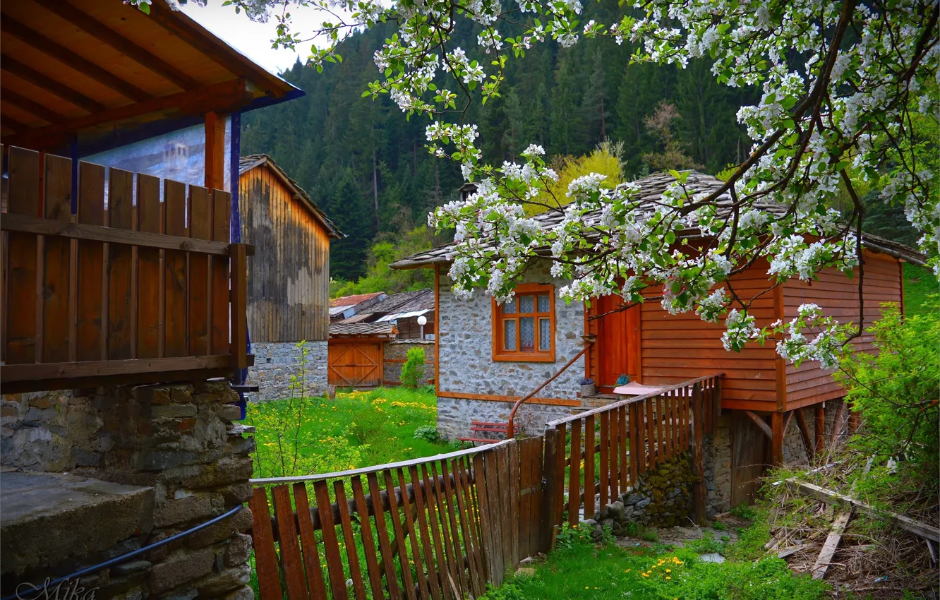 Wallpaper Spring, House, House, Spring, Flowering, Yard, Wicket ...