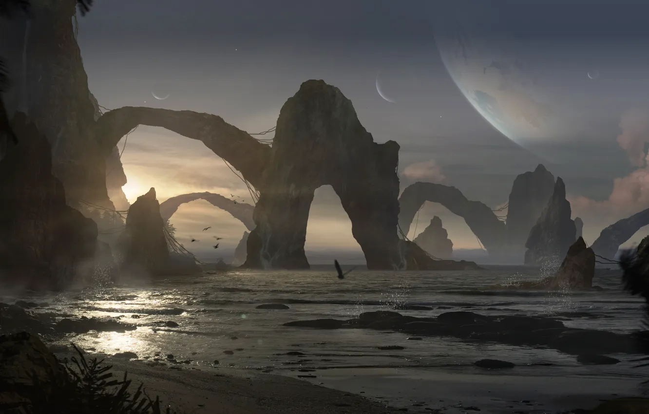 Wallpaper sea, rocks, bird, shore, planet, World number 5 for mobile ...