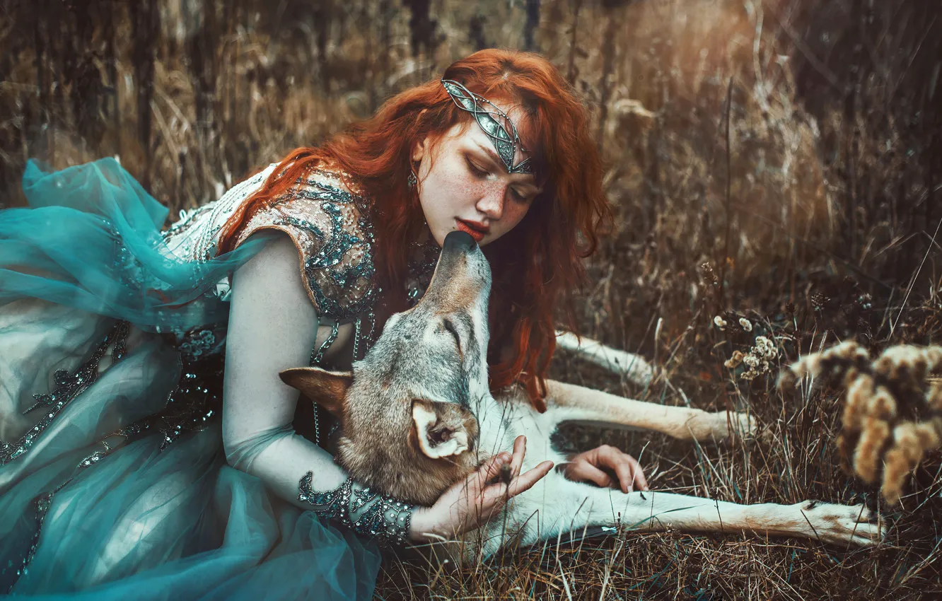 Wallpaper Field Grass Girl Decoration Face Pose Blue Wolf For