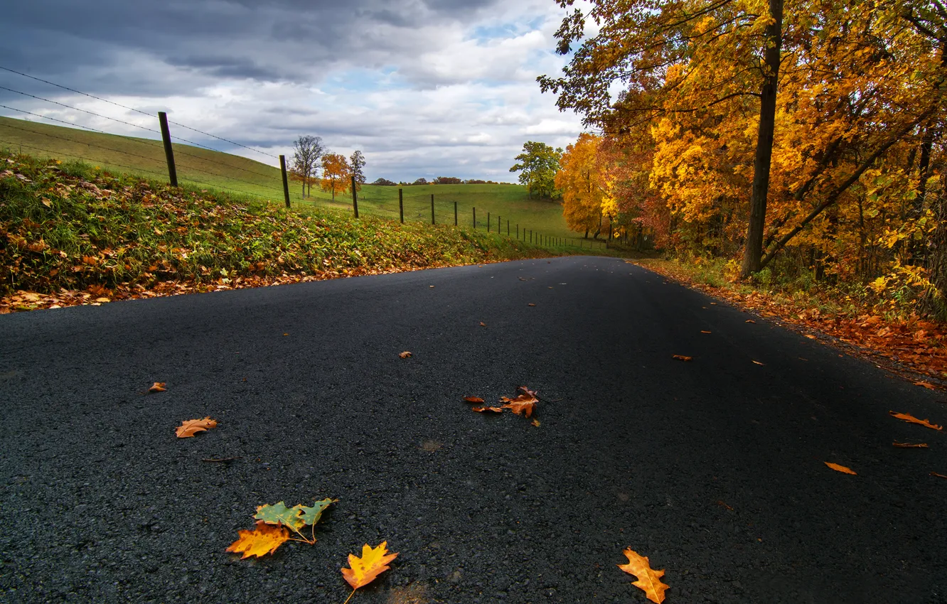 Wallpaper road, autumn, asphalt, leaves, clouds, trees, nature, field ...
