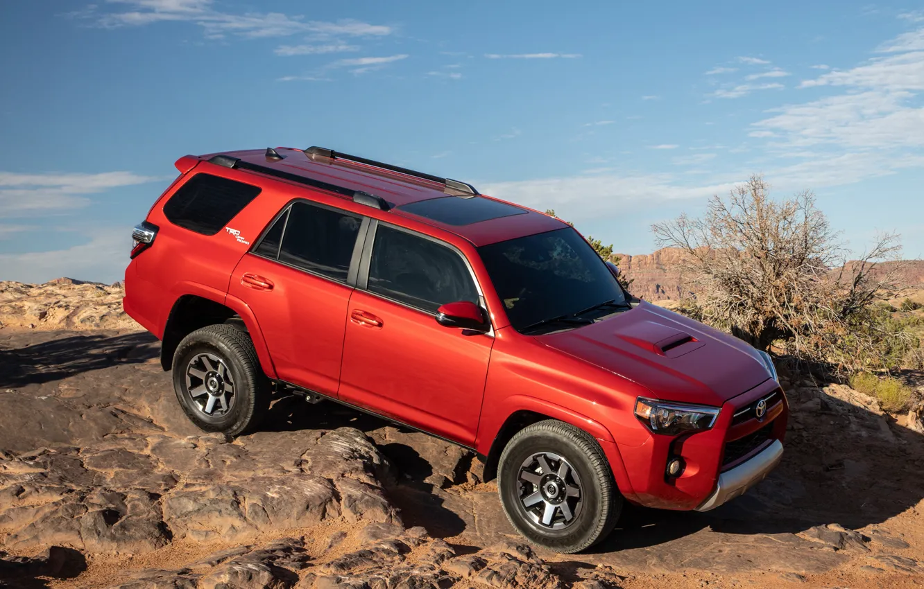 Wallpaper Toyota, SUV, TRD, Off-Road, 2020, 4Runner images for desktop ...