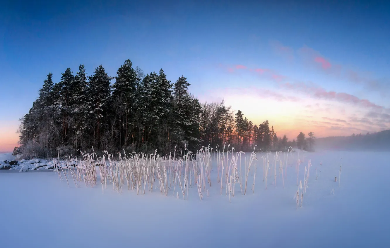 Wallpaper winter, snow, morning for mobile and desktop, section природа ...
