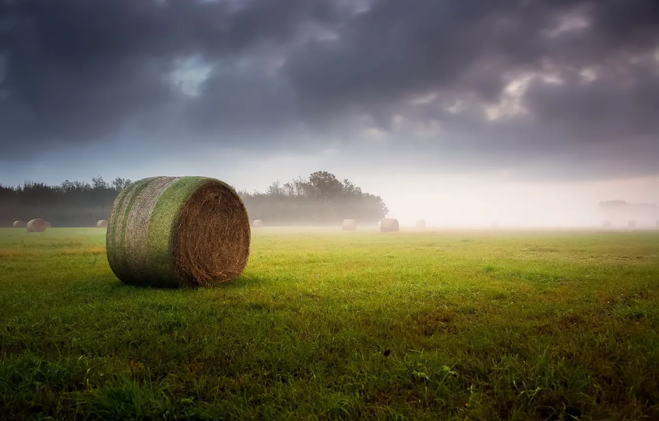 Wallpaper field, fog, morning, hay for mobile and desktop, section ...