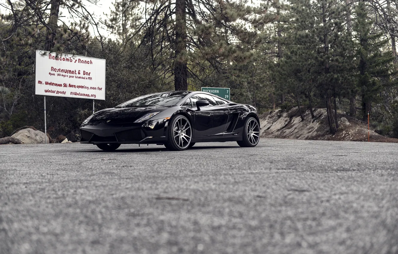Wallpaper trees, black, Lamborghini, index, Gallardo, black ...