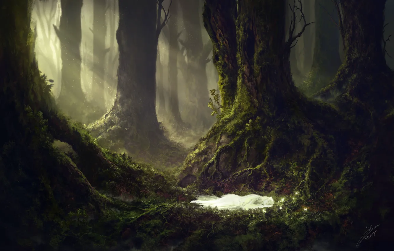 Wallpaper forest, trees, being, The Sleeping Green, The Sleeping for ...