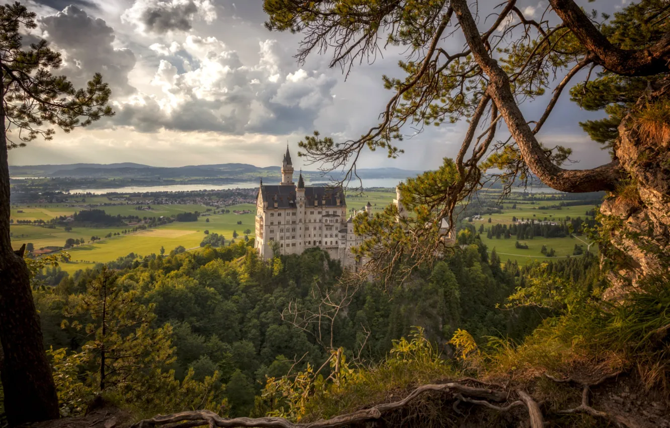 Wallpaper trees, roots, castle, Germany, Neuschwanstein for mobile and ...