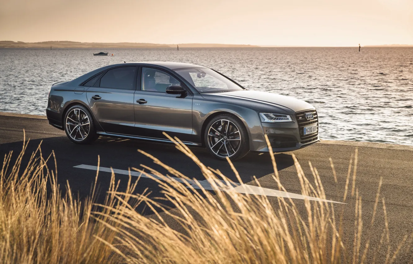 Wallpaper audi, grass, sunset for mobile and desktop, section audi ...