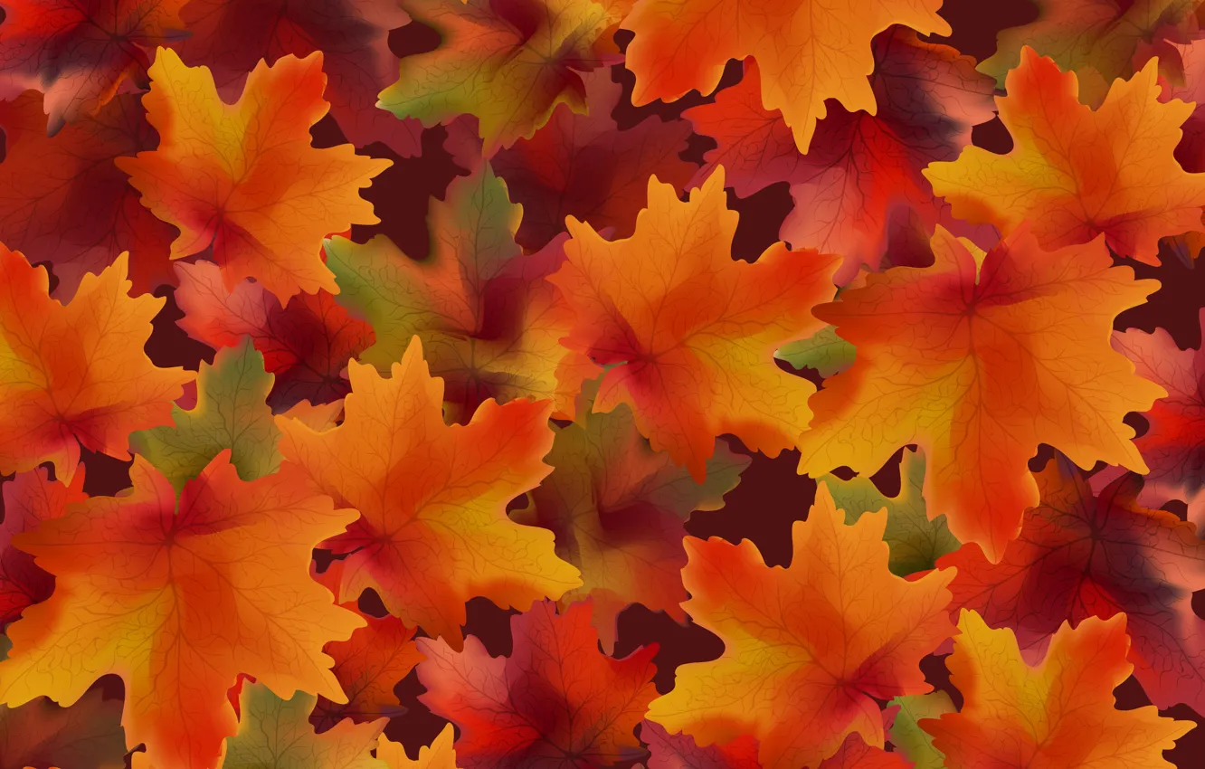 Wallpaper autumn, leaves, background, colorful, background, autumn ...