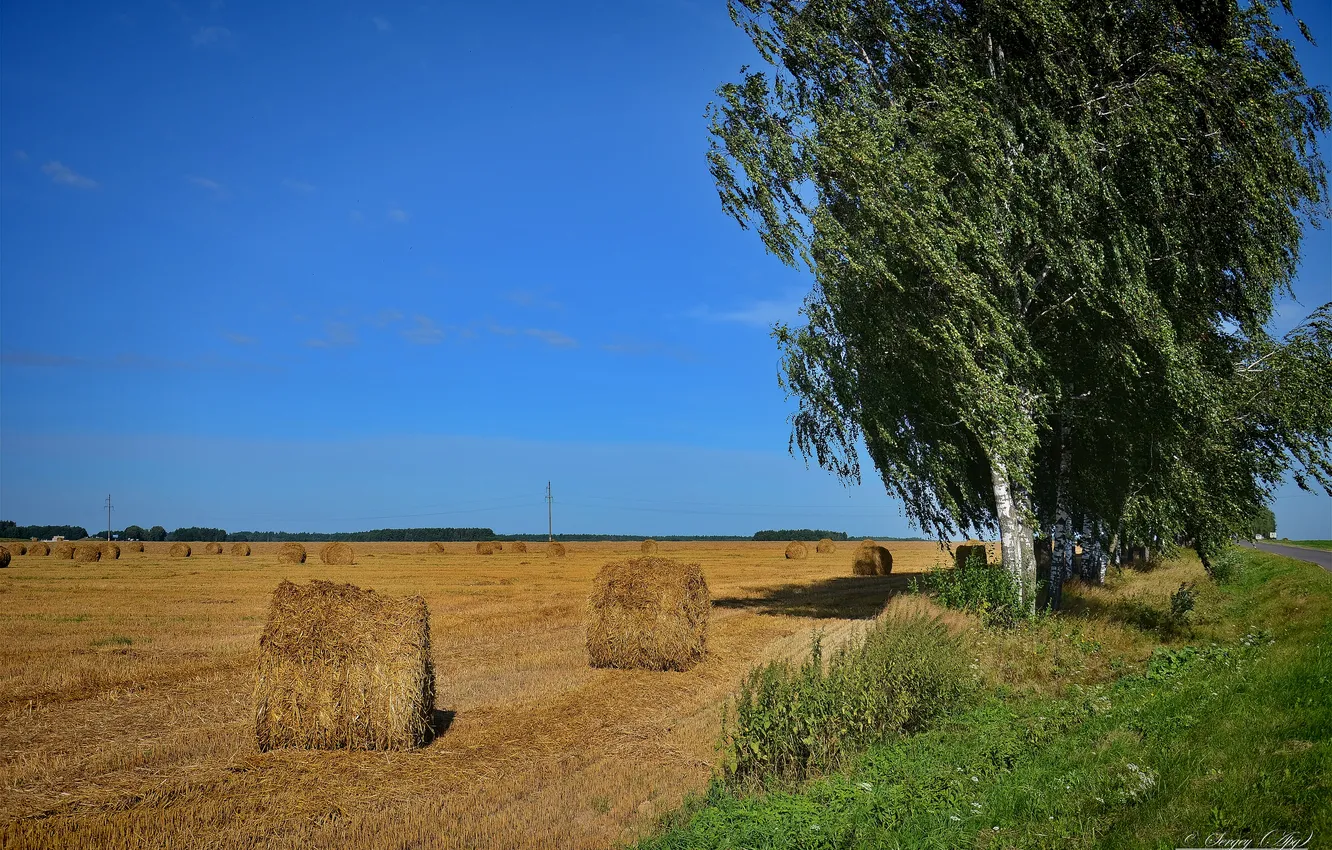 Wallpaper field, autumn, the sky, nature, harvesting, haystacks for ...