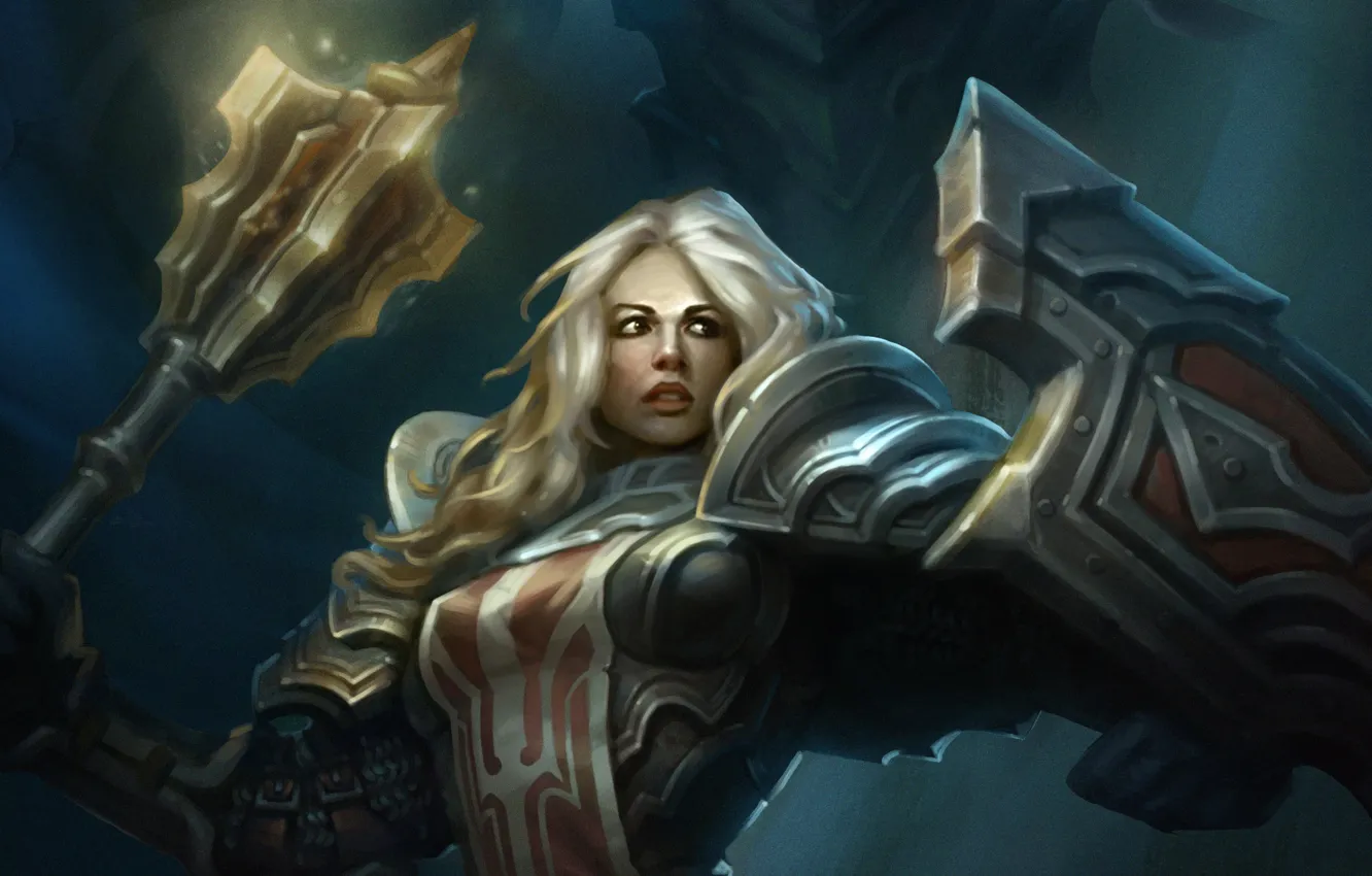 Wallpaper shield, diablo 3, Crusader, Reaper of Souls images for ...