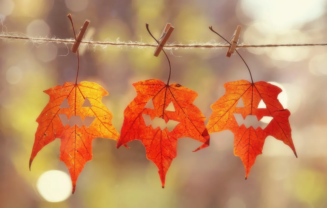 Wallpaper autumn, leaves, Halloween images for desktop, section ...