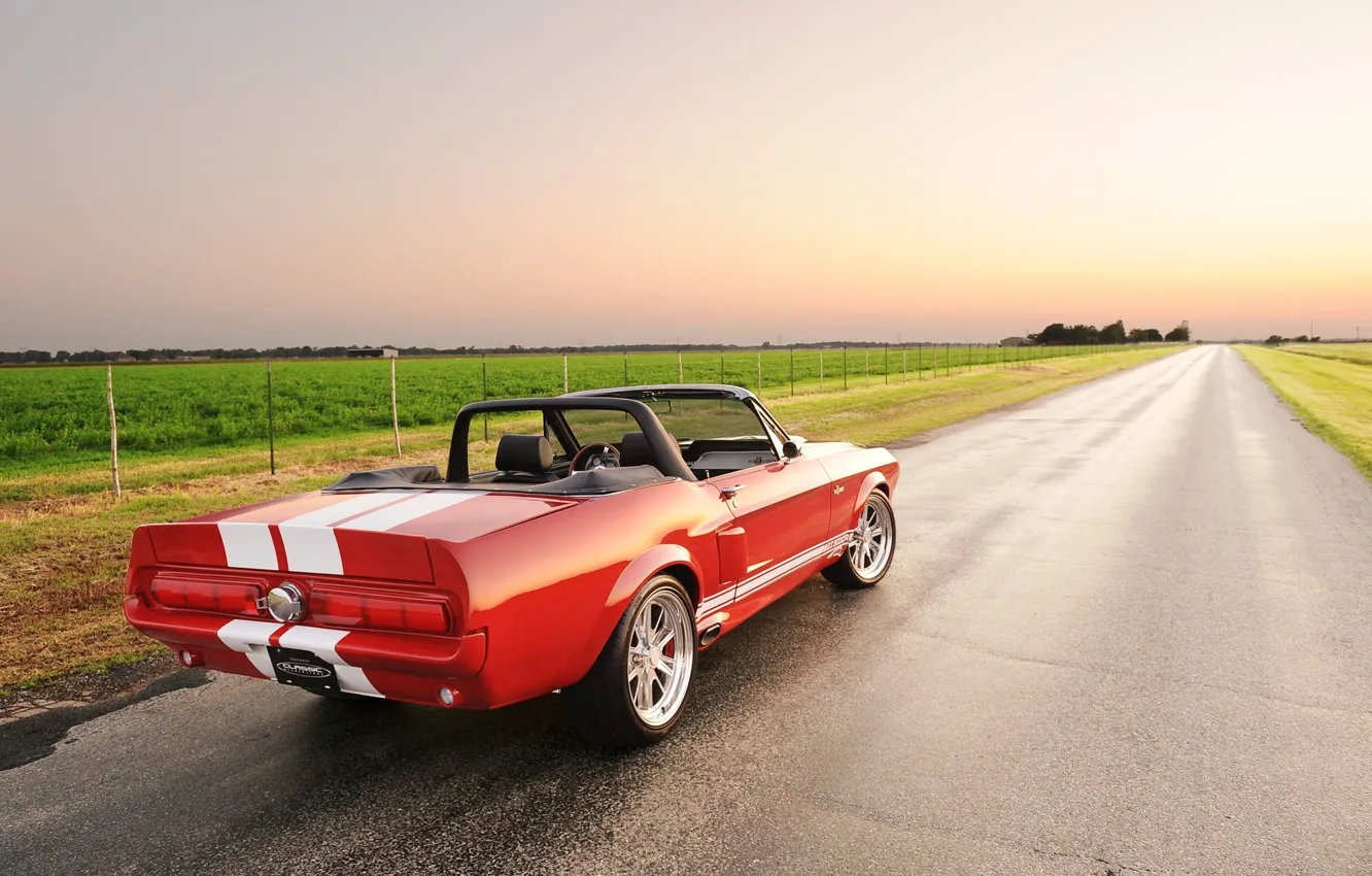 Wallpaper road, field, the sky, red, strip, tuning, Mustang, Ford ...