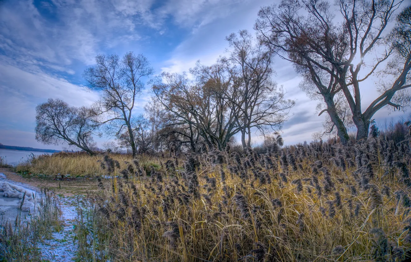 Wallpaper autumn, nature, river, reed for mobile and desktop, section ...