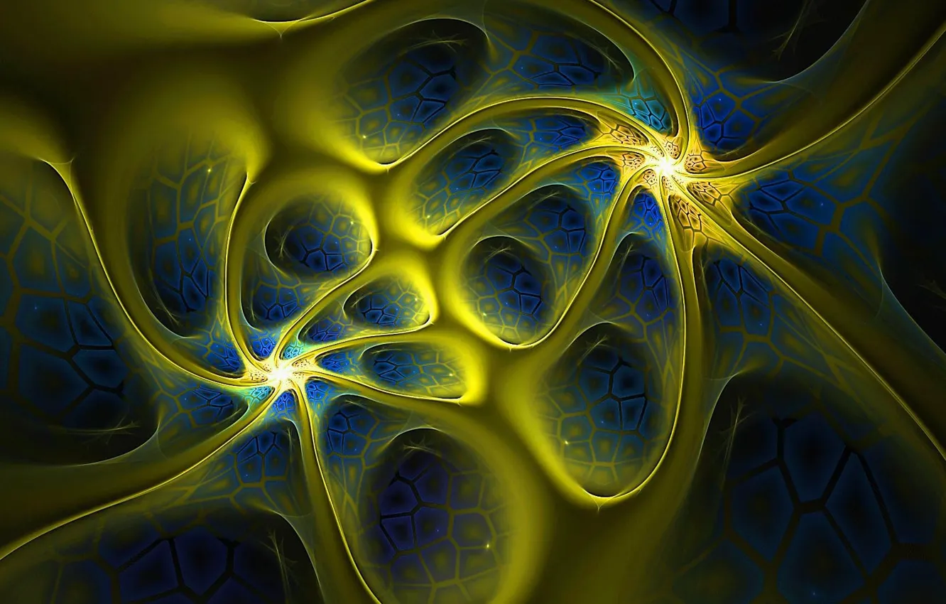 Wallpaper light, line, pattern, color, petals for mobile and desktop ...