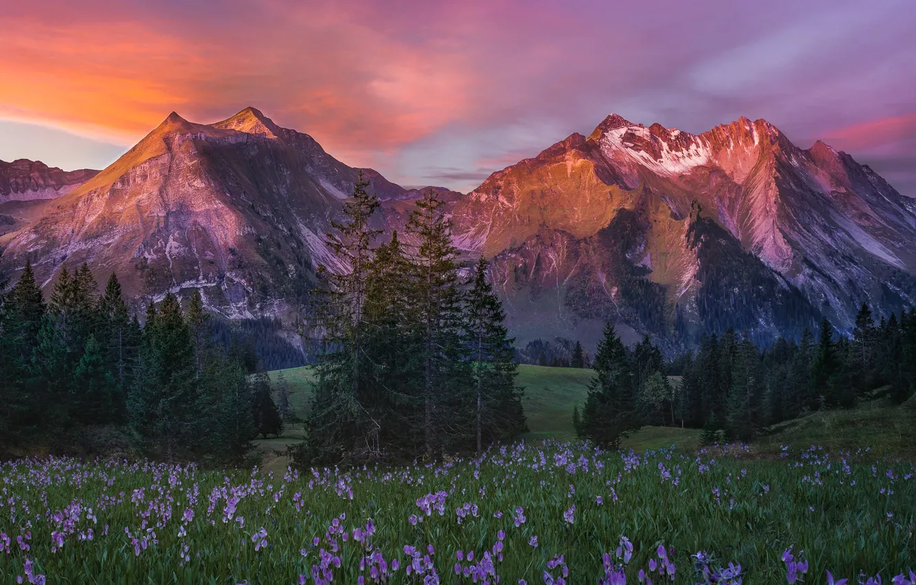Wallpaper Sky, Grass, Green, Landscape, Sunrise, Down images for ...