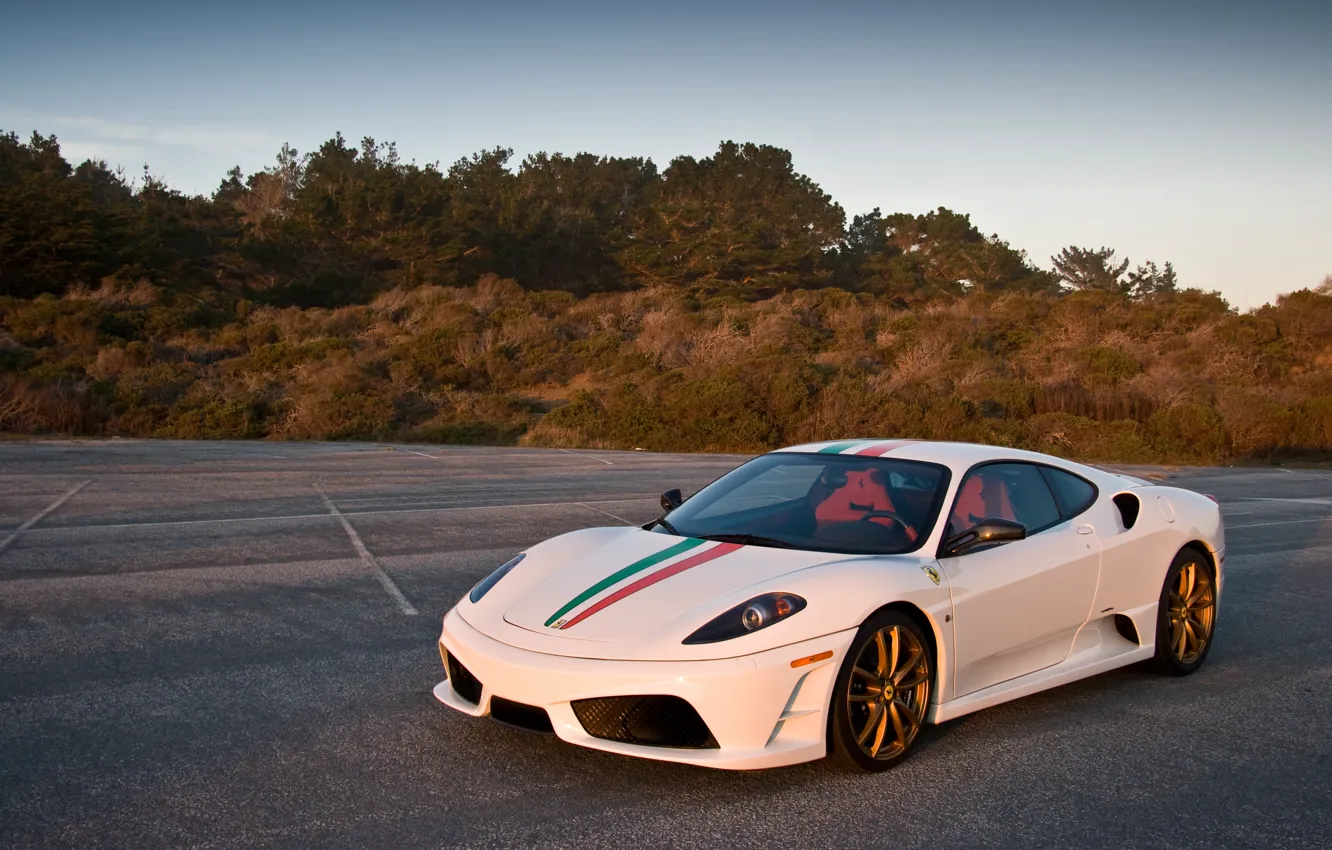 Wallpaper shadow, the evening, white, ferrari, Ferrari, front view, the ...