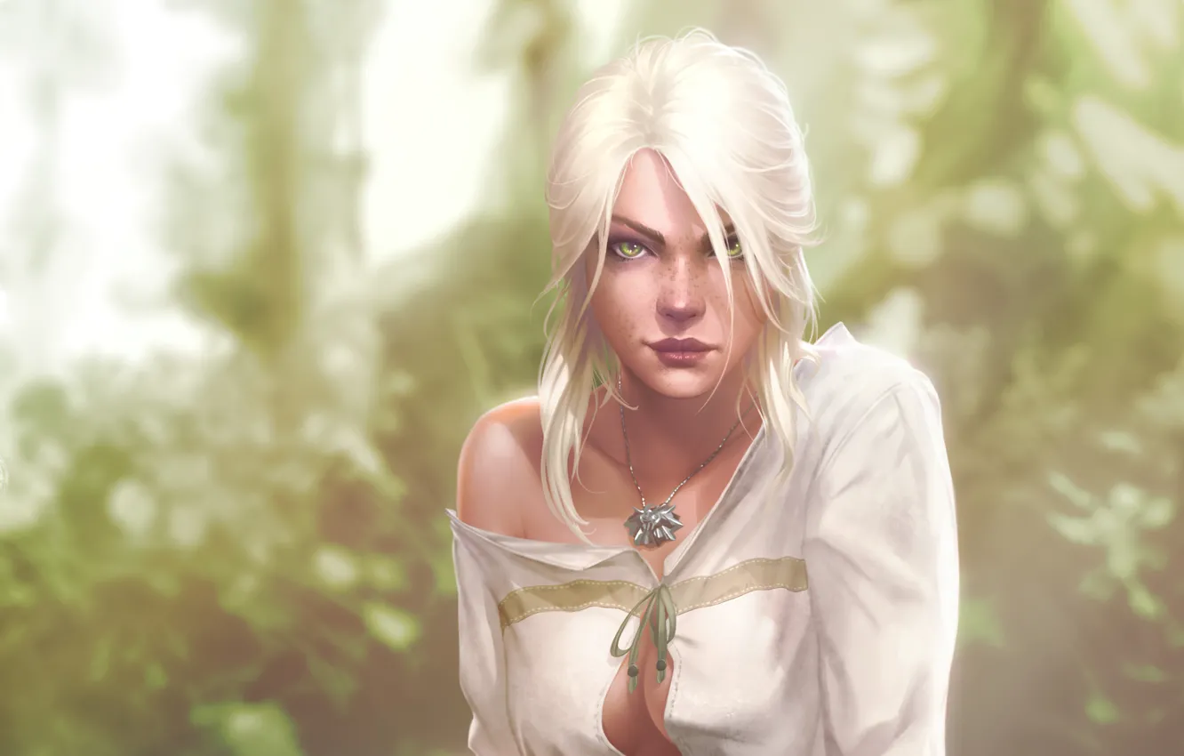 Wallpaper girl, character, art, artwork, The Witcher 3, Ciri, paintig ...