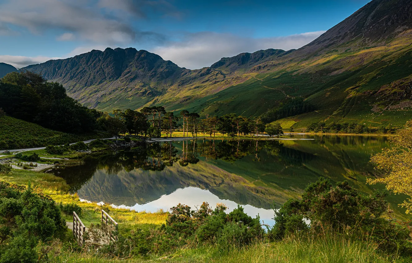 Wallpaper trees, mountains, lake, England, Buttermere Allerdale ...