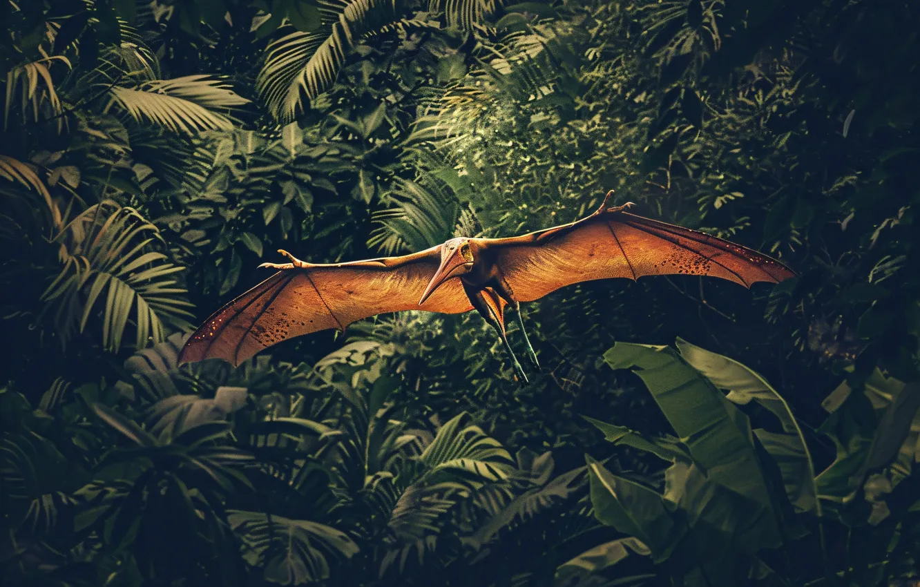 Wallpaper flight, animal, wings, dinosaur, jungle, pterodactyl, digital ...