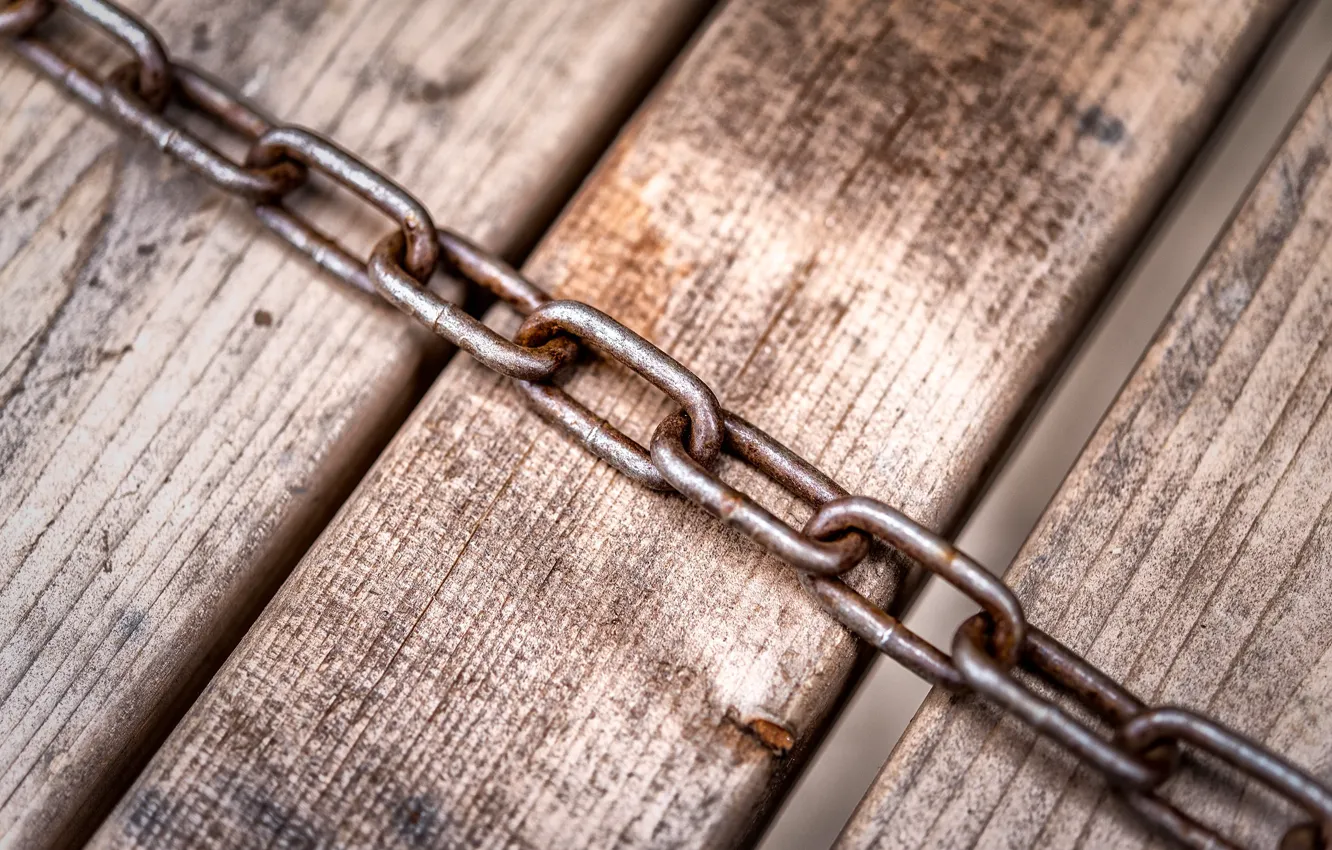 Wallpaper Chain, Macro, Bound for mobile and desktop, section разное ...