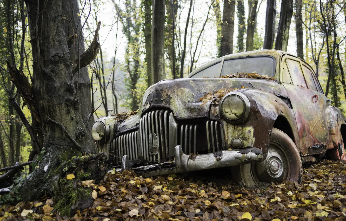 Wallpaper machine, forest, nature, scrap for mobile and desktop ...