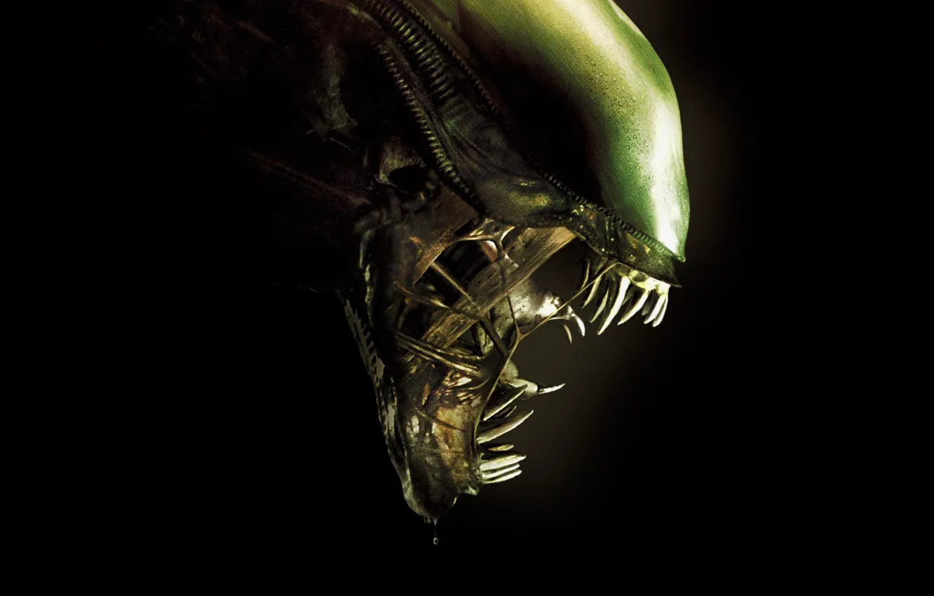 Wallpaper green, cinema, ufo, monster, Alien, movie, fang, film for ...