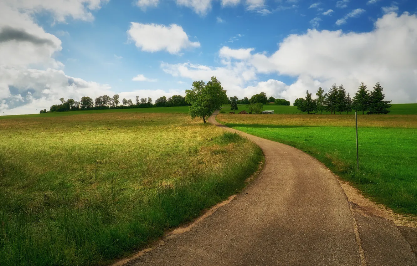 Wallpaper Road Greens Field Summer The Sky Grass Clouds Trees