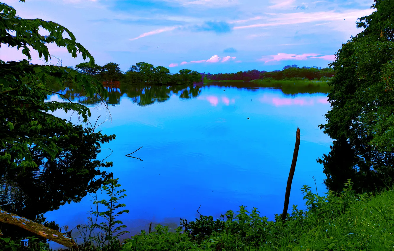 Wallpaper Sky, Grass, Water, Sunrise, Dawn, Morning, Lake, Trees for ...