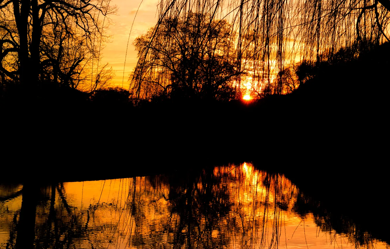 Wallpaper golden, sunshine, trees, sunset, water, park, winter, evening ...