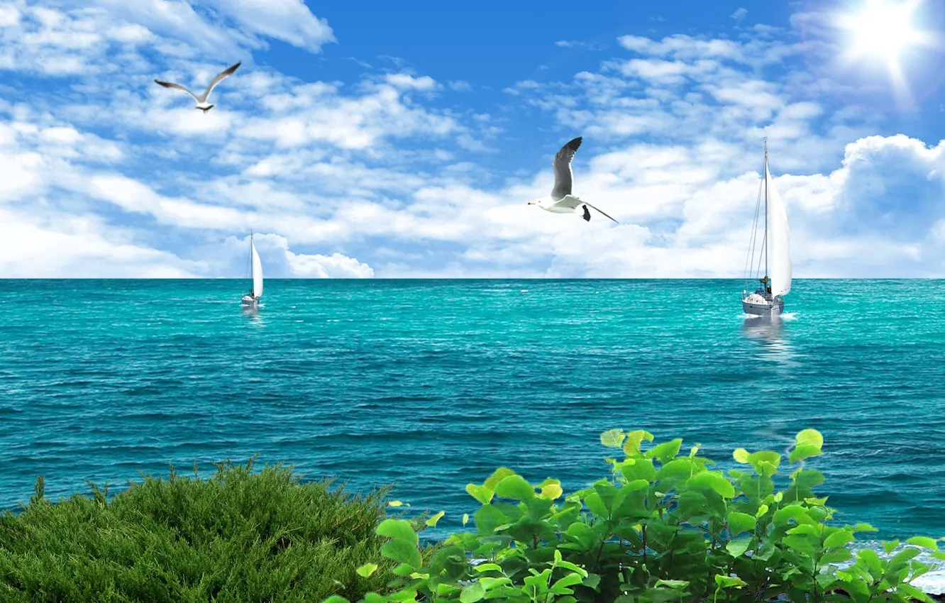 Wallpaper the sky, the ocean, bird, yacht for mobile and desktop ...