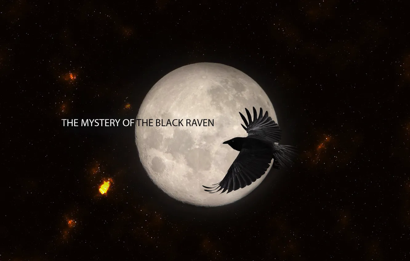 Wallpaper the sky, space, stars, the moon, moon, Raven, black Raven for ...